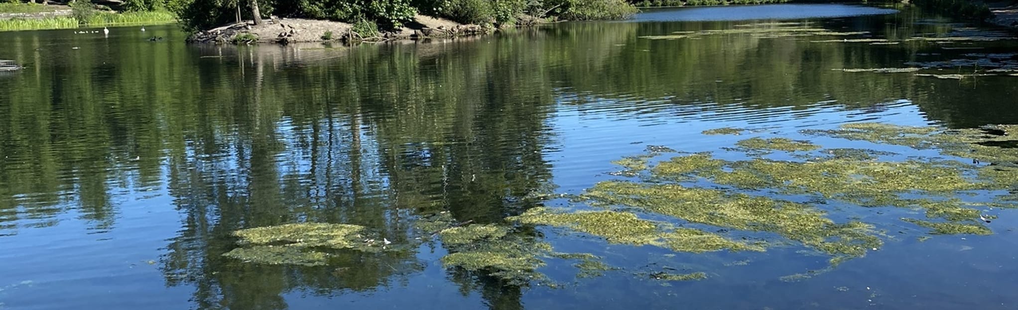 Queens and Springfield Park Circular: 100 Fotos - Greater Manchester ...