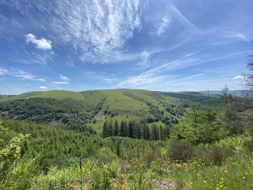 10 Best Trails and Hikes in Machynlleth | AllTrails