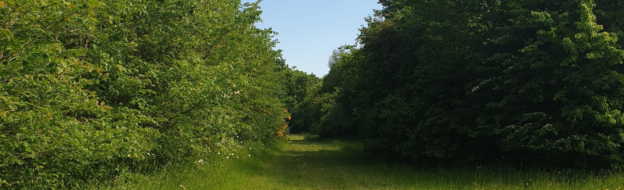 Boxford and Groton Circular, Suffolk, England - 46 Reviews, Map | AllTrails