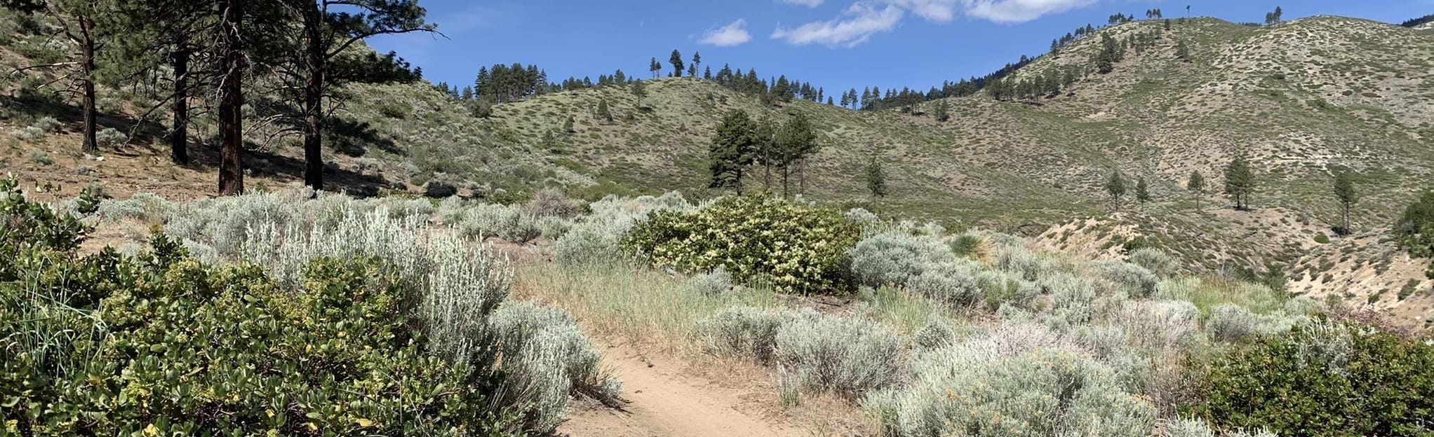 Seven Steps and Jack Rabbit Loop: 39 Reviews, Map - Nevada | AllTrails