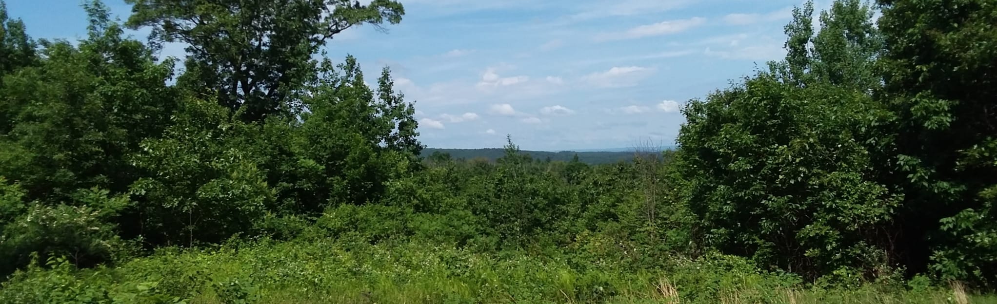 AllTrails | Wilderness Hill and Long Lake via Two Brothers Trail: 4 ...