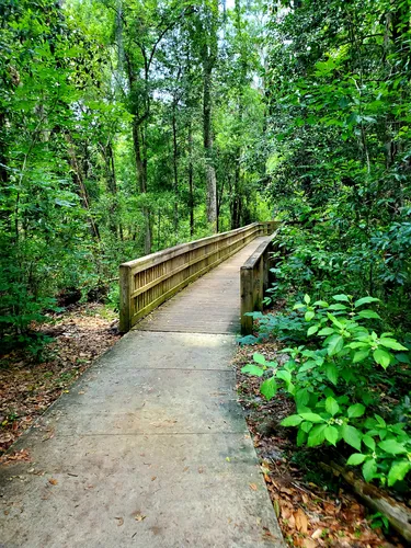 Best Hikes and Trails in Alpine Groves Park | AllTrails