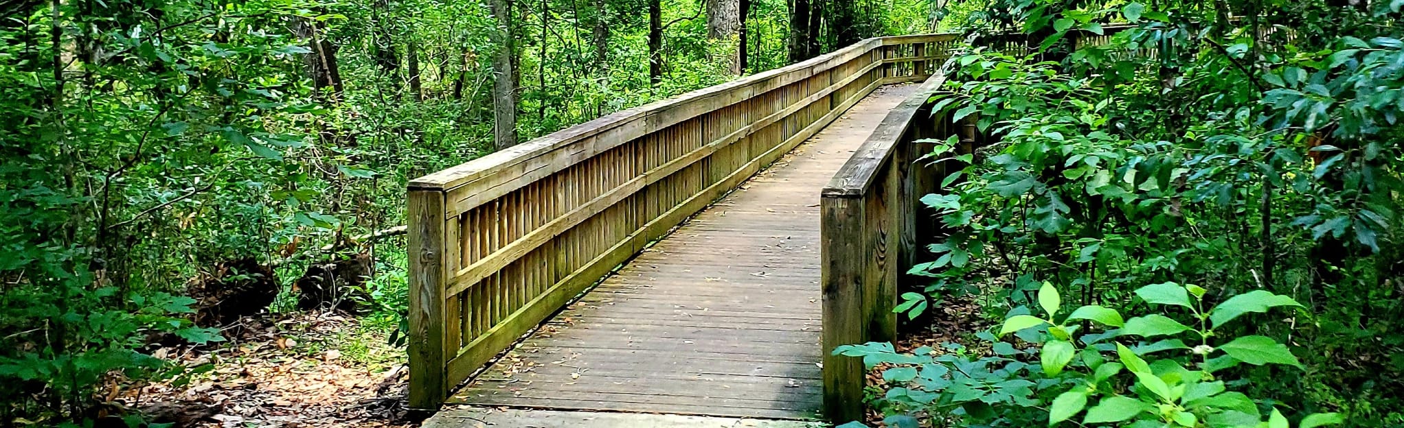 Alpine Groves Park Loop: 198 Reviews, Map - Florida | AllTrails