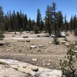 Vandeburg, Lady, and Lillian Lakes Loop, California - 22 Reviews, Map ...