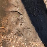 Vandeburg, Lady, and Lillian Lakes Loop, California - 22 Reviews, Map ...