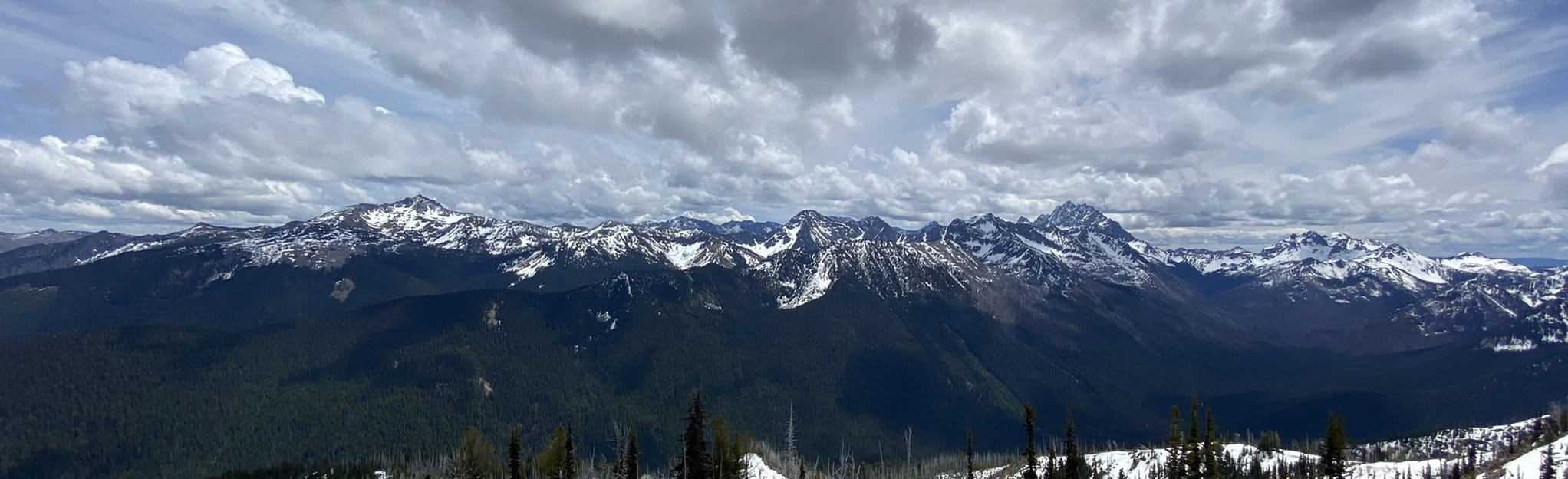Black Jack Ridge Trail: 13 Reviews, Map - Washington | AllTrails