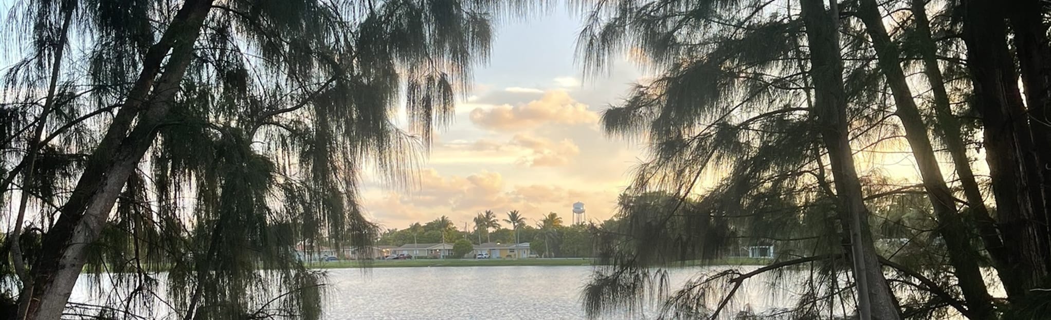 Snake Creek Trail: 63 foto's - Florida | AllTrails