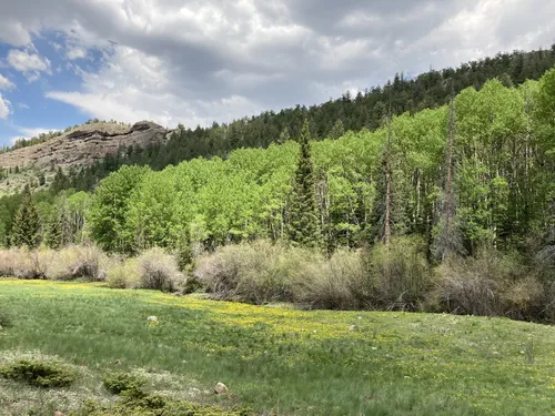 10 Best Hikes and Trails in Rio Grande National Forest, Divide Ranger ...