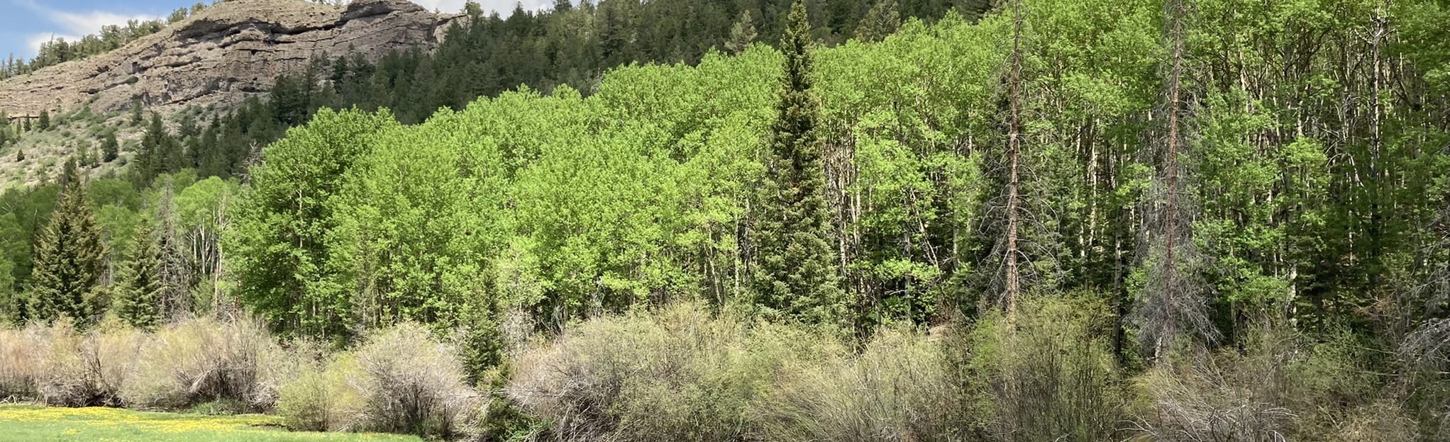 Middle Frisco Trail: 90 Reviews, Map - Colorado | AllTrails