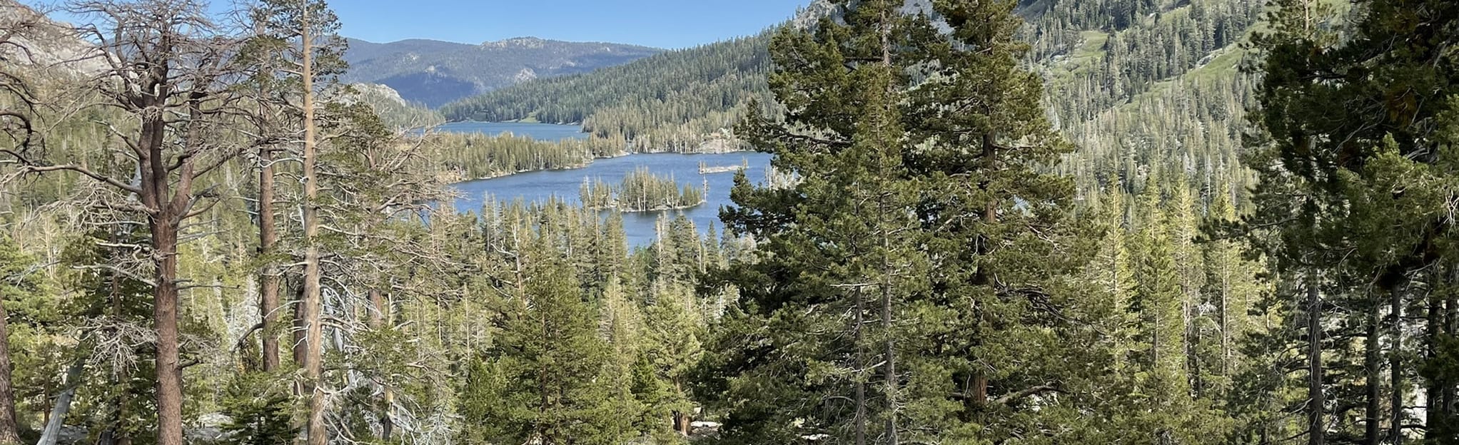 Lake Aloha Trail: 1,709 Reviews, Map - California | AllTrails
