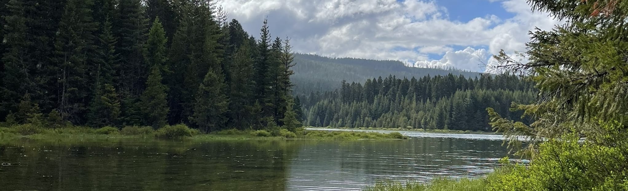 Timothy Lake Shoreline Loop, Oregon - 303 Reviews, Map | AllTrails