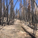 Vandeburg, Lady, and Lillian Lakes Loop, California - 22 Reviews, Map ...