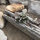 Vandeburg, Lady, and Lillian Lakes Loop, California - 22 Reviews, Map ...