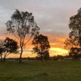 Darebin Creek Trail, Victoria, Australia - 102 Reviews, Map | AllTrails