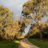Darebin Creek Trail, Victoria, Australia - 102 Reviews, Map | AllTrails