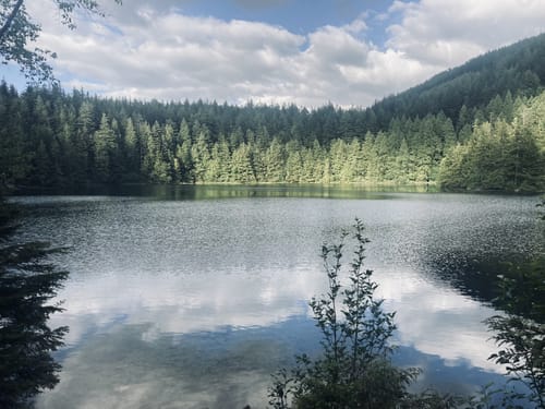 Best 10 Hikes and Trails in Sumas Mountain Regional Park | AllTrails