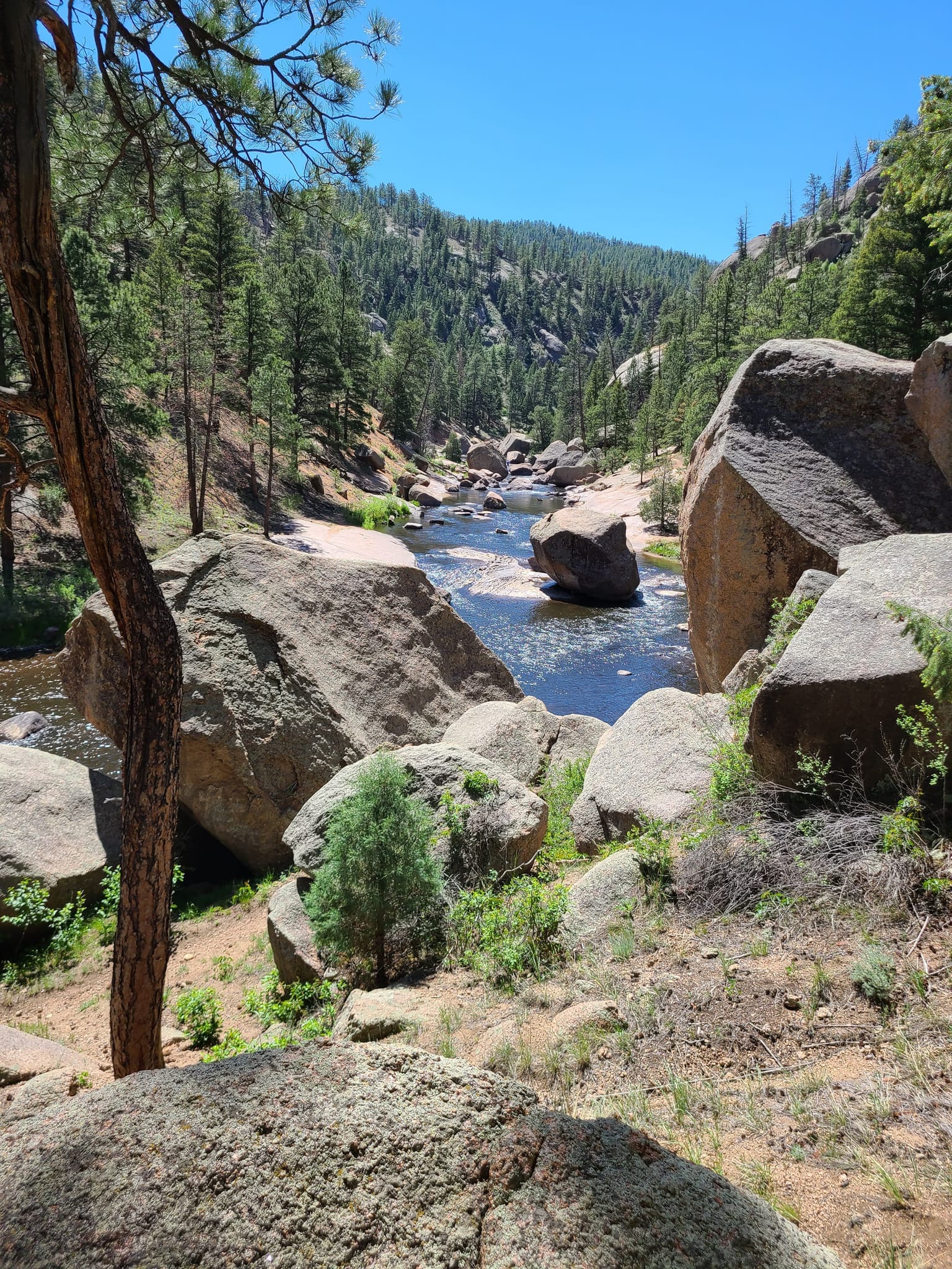 Cheesman canyon store