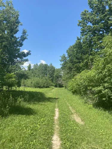 Best Hikes and Trails in Red Wing | AllTrails