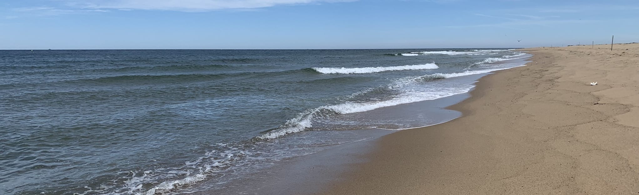 Race Point Dunes, Massachusetts - 71 Reviews, Map | AllTrails