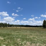 Bizz Johnson Trail, California - 161 Reviews, Map | AllTrails