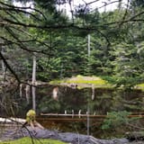 Glastenbury Mountain via Long Trail (Appalachian Trail) , Vermont - 143 ...