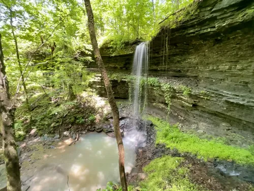 Best Hikes and Trails in Dover | AllTrails