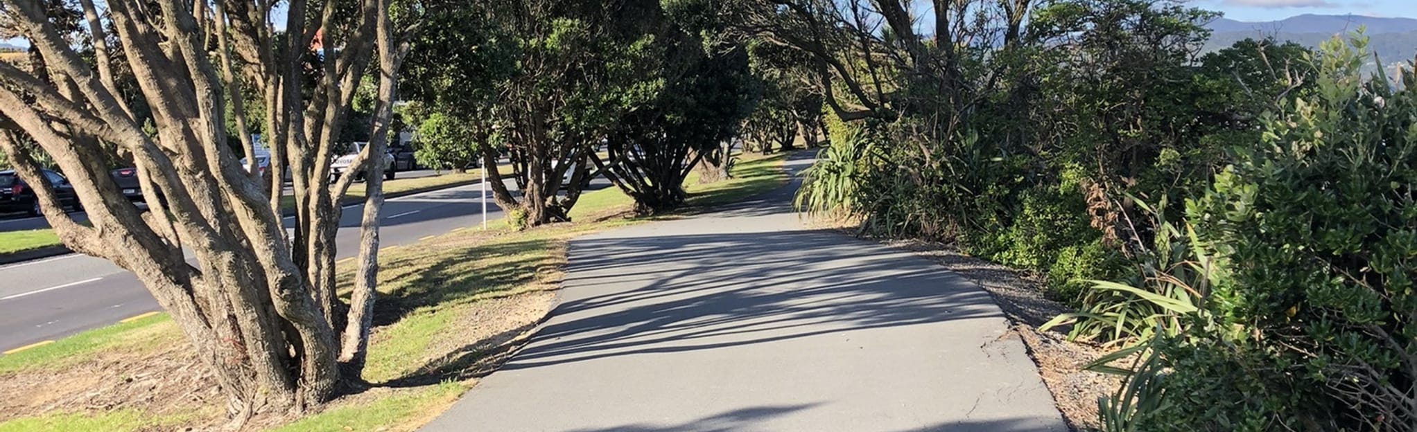 Petone Esplanade Walkway, Wellington, New Zealand - 10 Reviews, Map ...