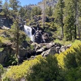 Glen Alpine Springs Resort Trail, California - 179 Reviews, Map | AllTrails