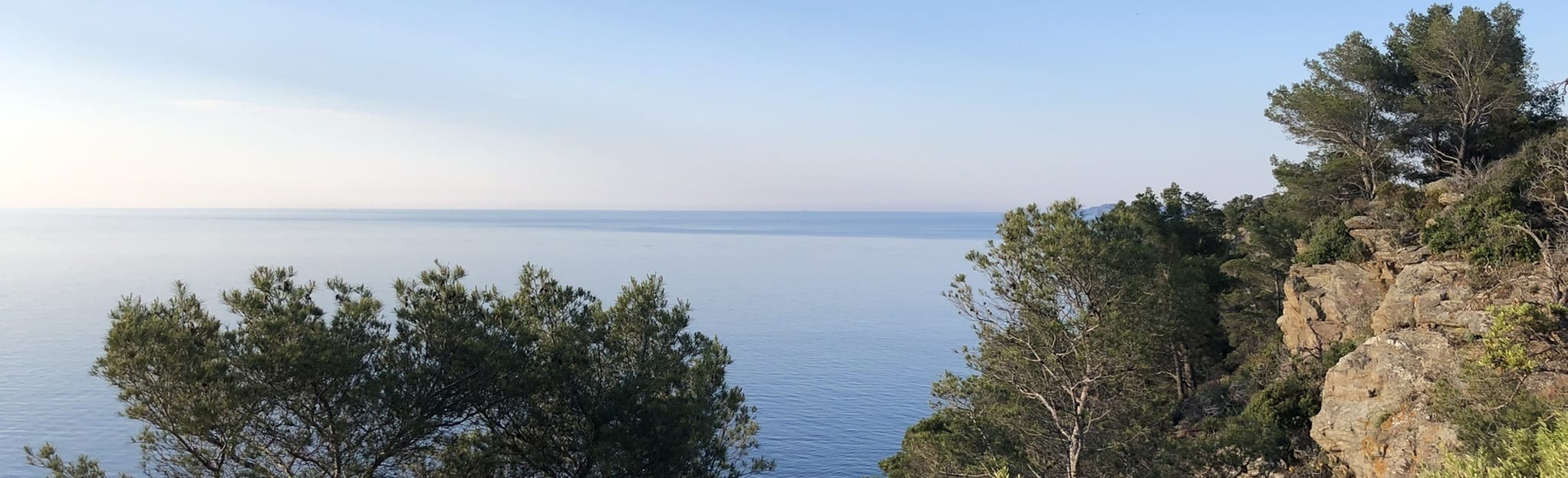 Circuit du Col du Canadel, Var, France - 28 Reviews, Map | AllTrails