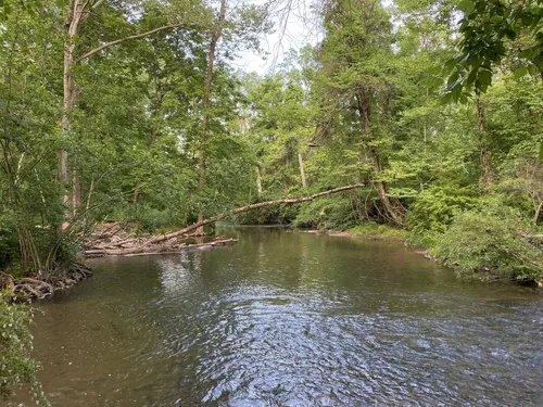 Best Hikes and Trails in Chester Springs | AllTrails