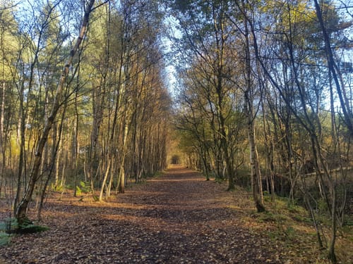 2023 Best 10 Trails, Walks, and Paths in York | AllTrails