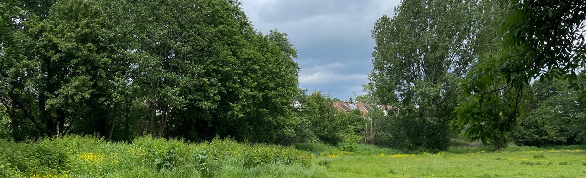 Olton Jubilee Park Circular, West Midlands, England - 266 Reviews, Map ...