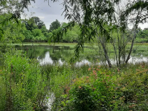 Best Hikes and Trails in Shadow Creek Ranch Nature Park | AllTrails