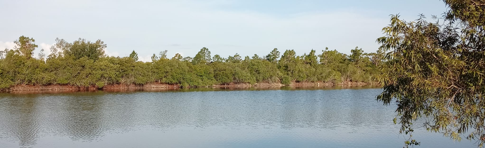 Prairie/Shell Creek Loop: 11 Reviews, Map - Florida | AllTrails