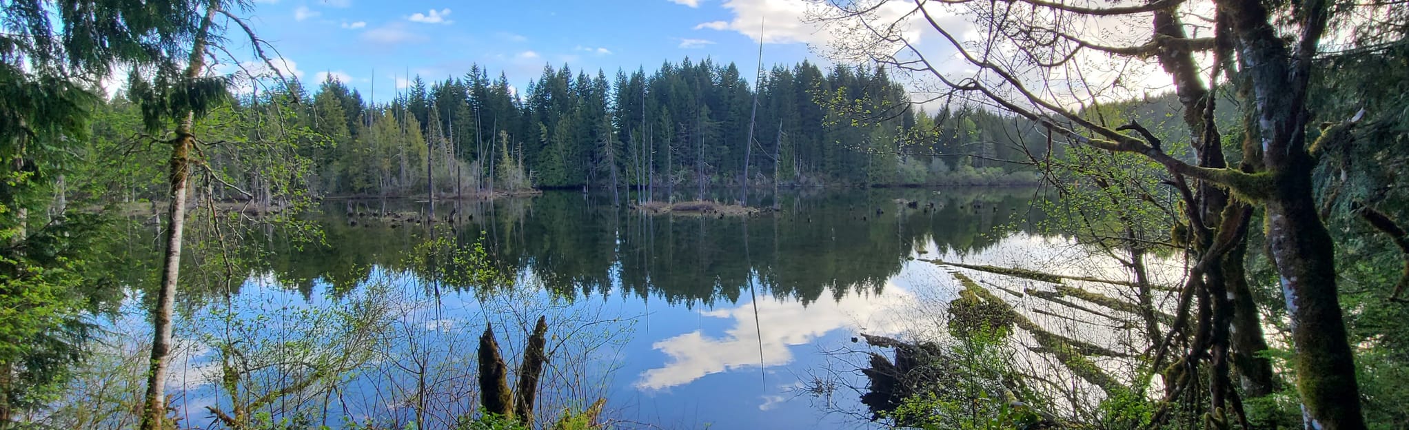 Puntledge River Trail: 115 Reviews, Map - British Columbia, Canada ...