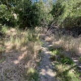Lopez Canyon Trail To Goat Trail Loop, California - 228 Reviews, Map ...