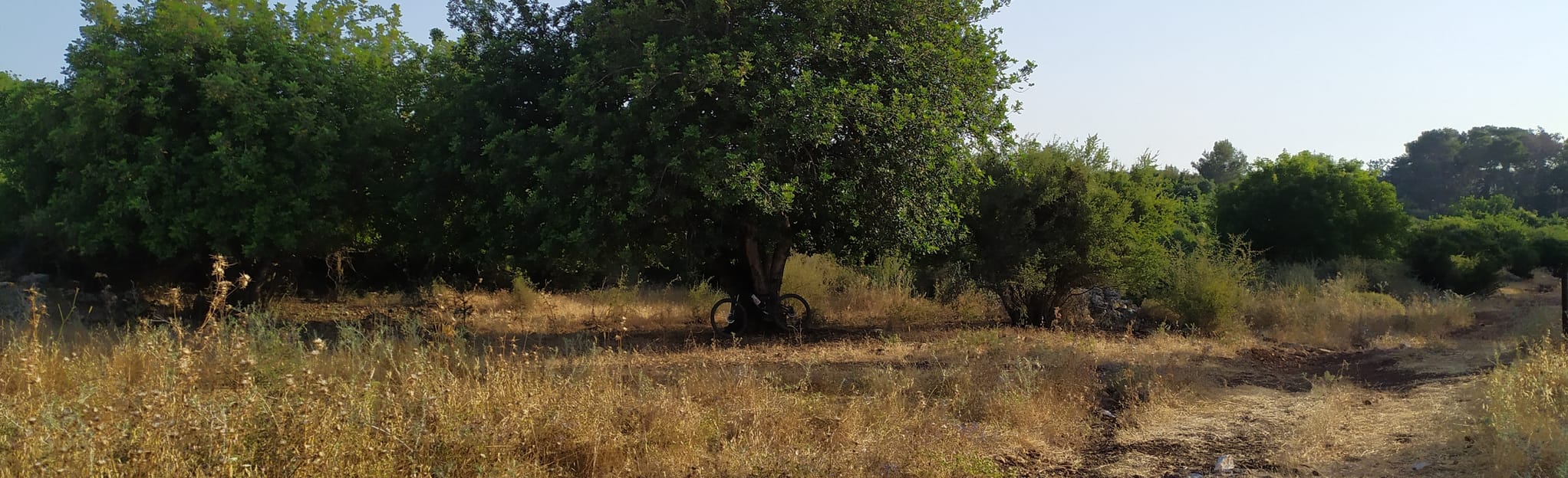 Matzuva and Hanita Singletrack, Northern District HaZafon, Israel - 2 ...