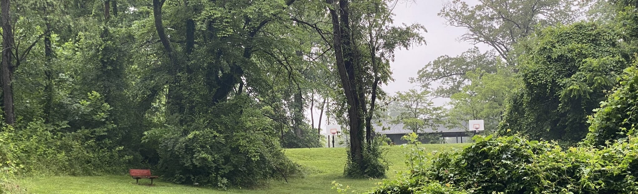 Round Tree Park Loop, Virginia - 148 Reviews, Map | AllTrails