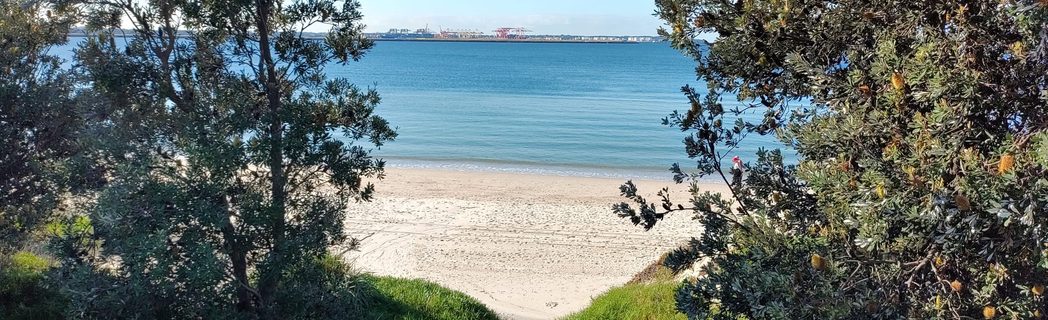 Cook Park Trail, New South Wales, Australia - 170 Reviews, Map | AllTrails