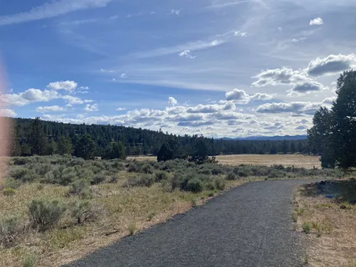 Bedste vandreture og ruter i Riley Ranch Nature Reserve | AllTrails