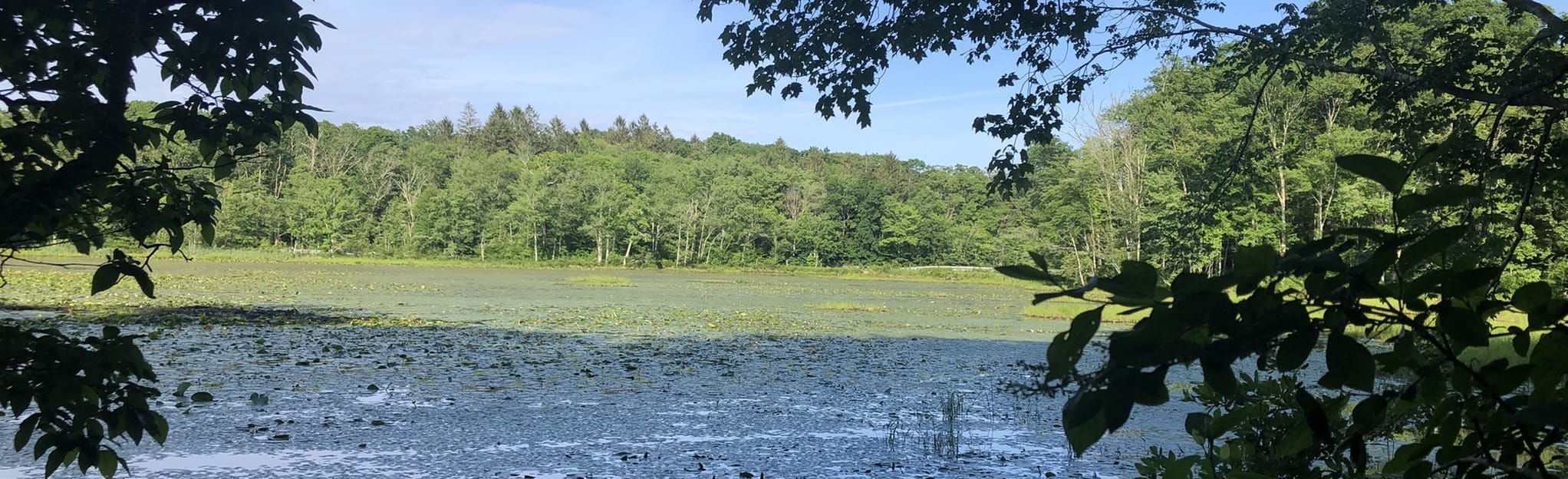 Cockaponset Green and Orange Loop, Connecticut - 149 Reviews, Map ...