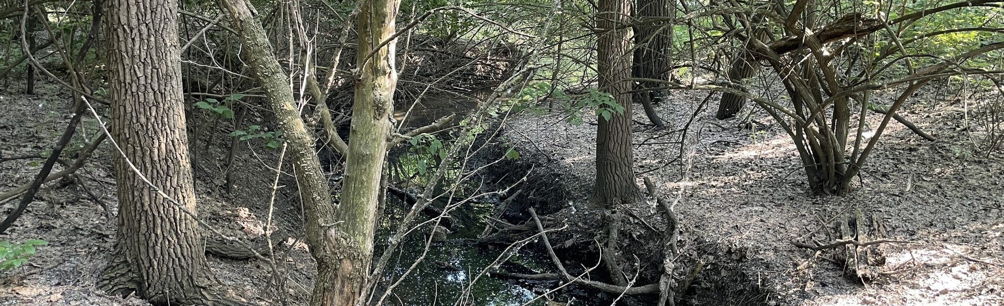 Apollo Park, Butterfield Creek Path Loop, Illinois - 68 Reviews, Map ...