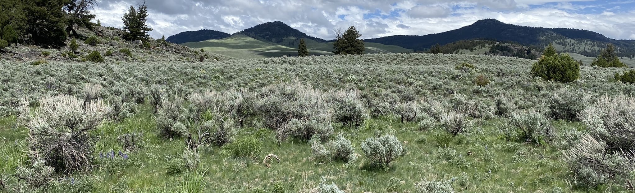 Hellroaring Creek Trail: 7 Reviews, Map - Montana | AllTrails