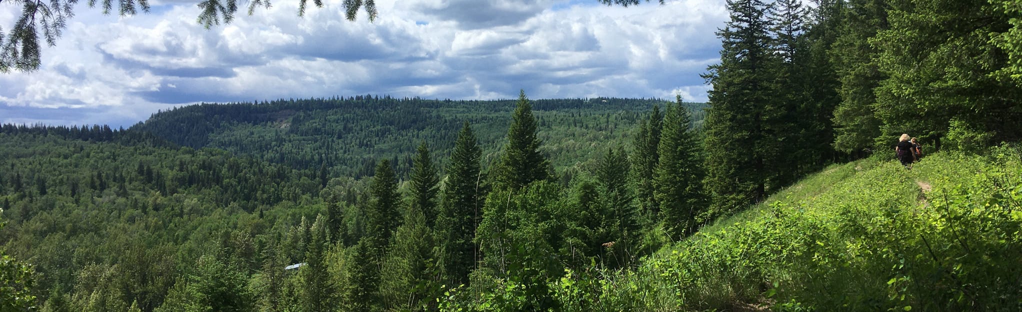Hogsback Trail, British Columbia, Canada - 4 Reviews, Map | AllTrails