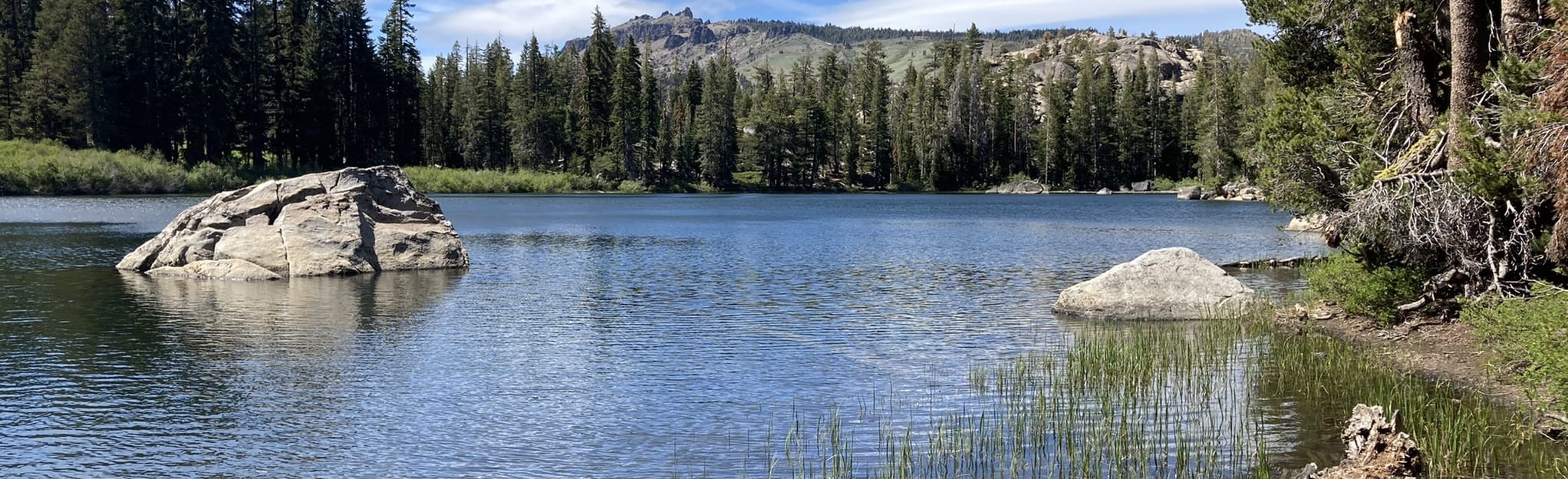Angela, Flora, and Azalea Lakes via Ski Ranch and PCT Loop: 437 Reviews ...