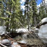 Cowlitz Divide Trail, Washington - 40 Reviews, Map | AllTrails