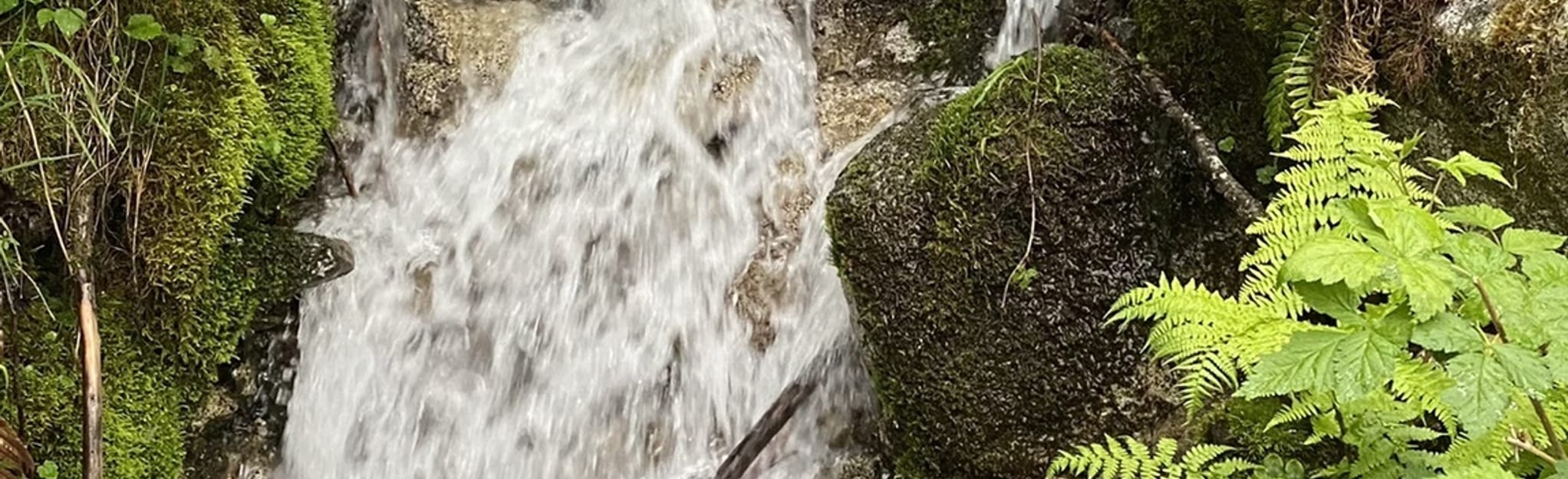 Iron Goat Trail via Martin Creek Trailhead: 69 Reviews, Map ...