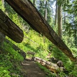 Tire Mountain Trail, Oregon - 133 Reviews, Map | AllTrails