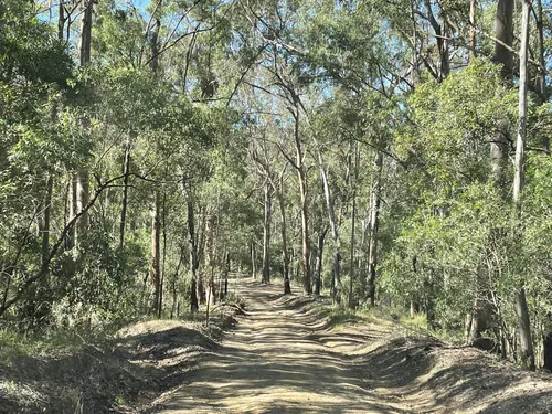 10 Best Trails and Hikes in Mount Mee | AllTrails