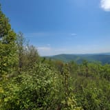 Taconic Crest Trail: NY 346 to US 20, New York - 31 Reviews, Map ...